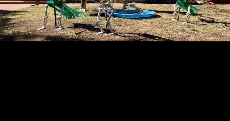 New giant skeleton on display after 'Mr. Bones' was stolen in Chico ...
