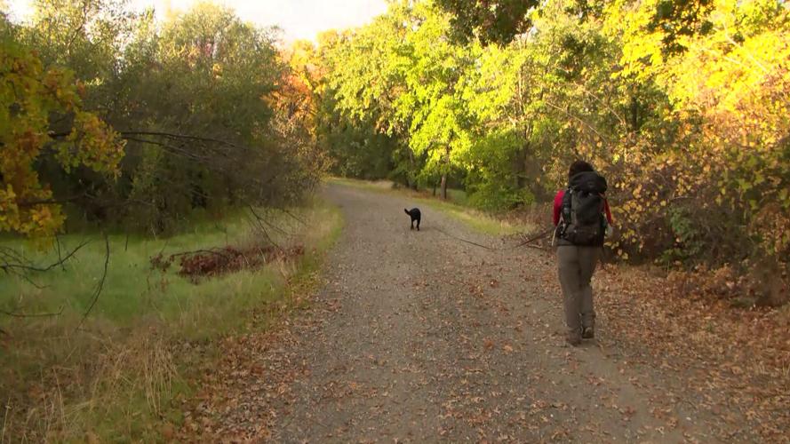 An inside look at K-9 training with Butte County Search & Rescue | News ...