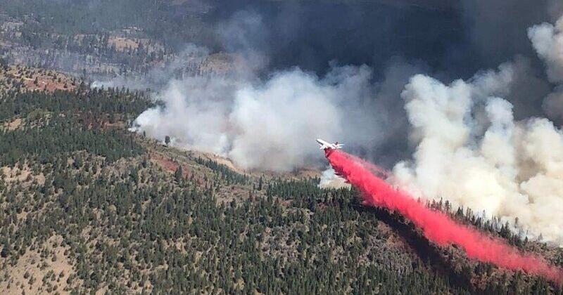 Former professor charged with setting fires behind firefighters ...