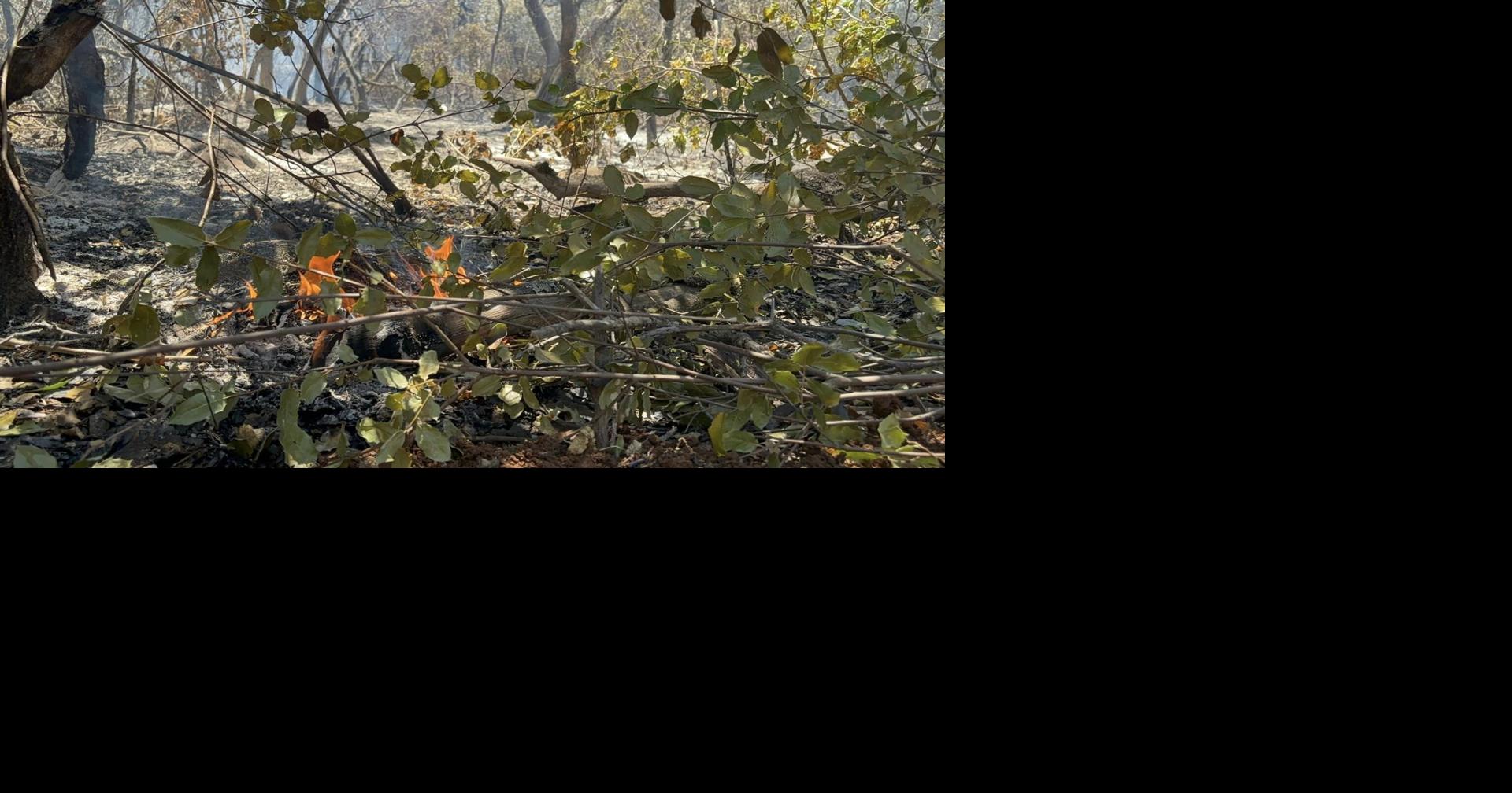 Dersch Fire: 58 acres, 90% containment | News | actionnewsnow.com