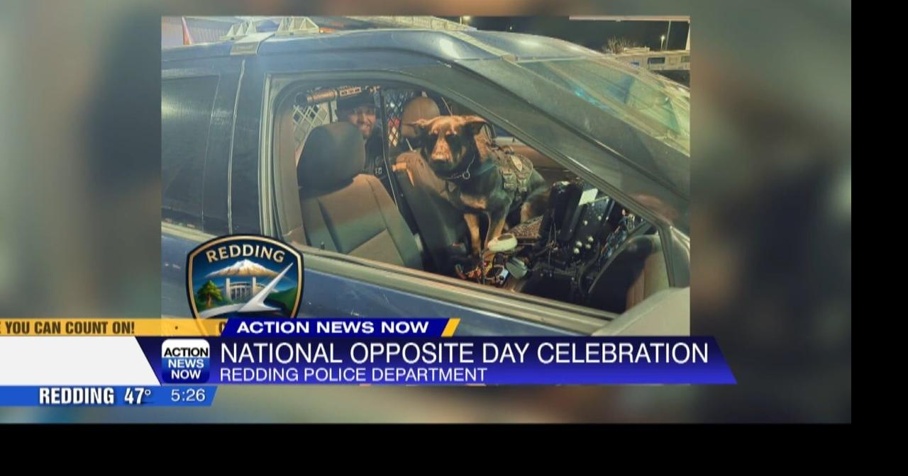 Redding Police Department Officer Lensing and K-9 Colt celebrate ...