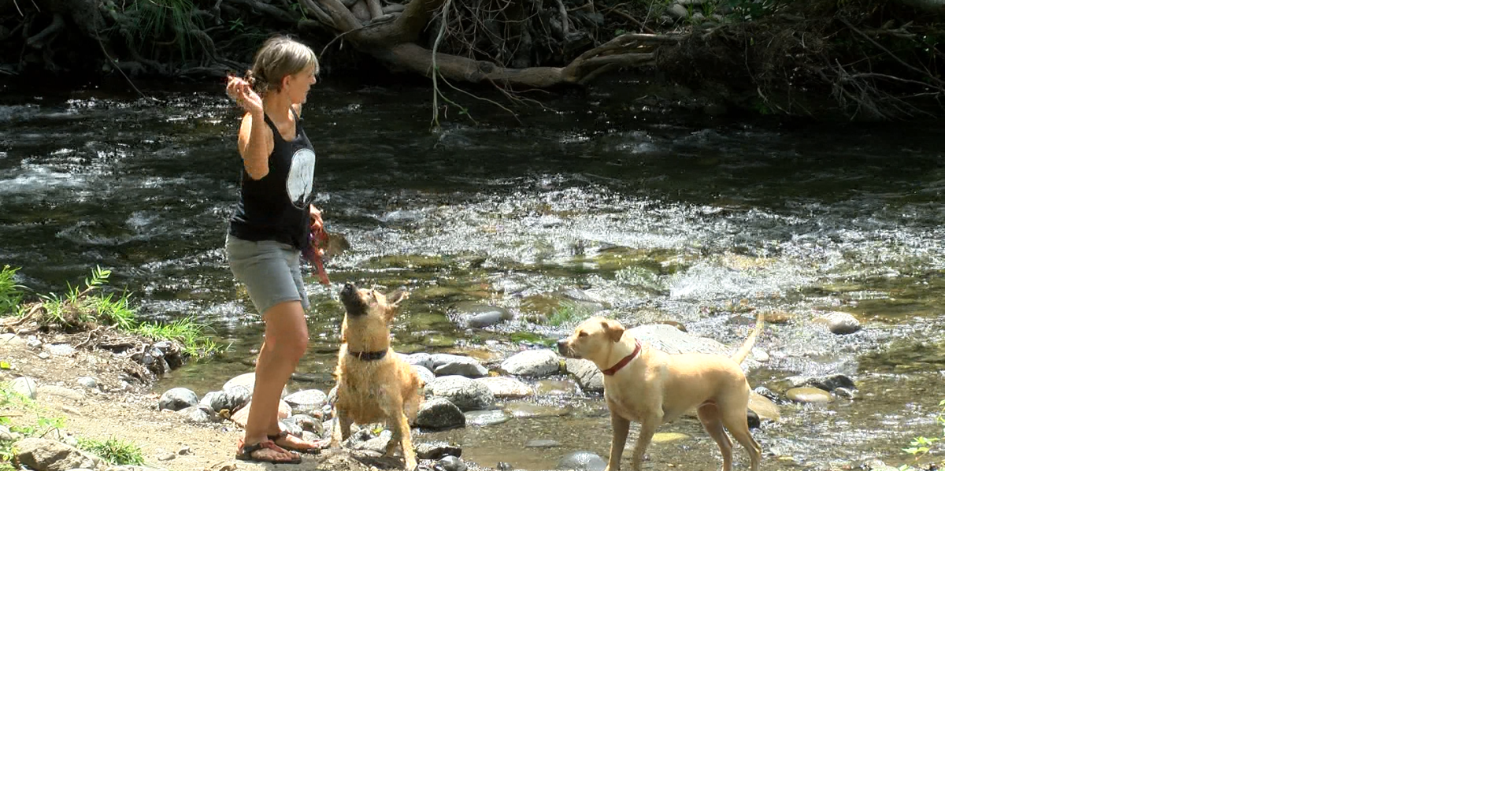 Chico woman speaks out about Upper Bidwell Park assault | News ...