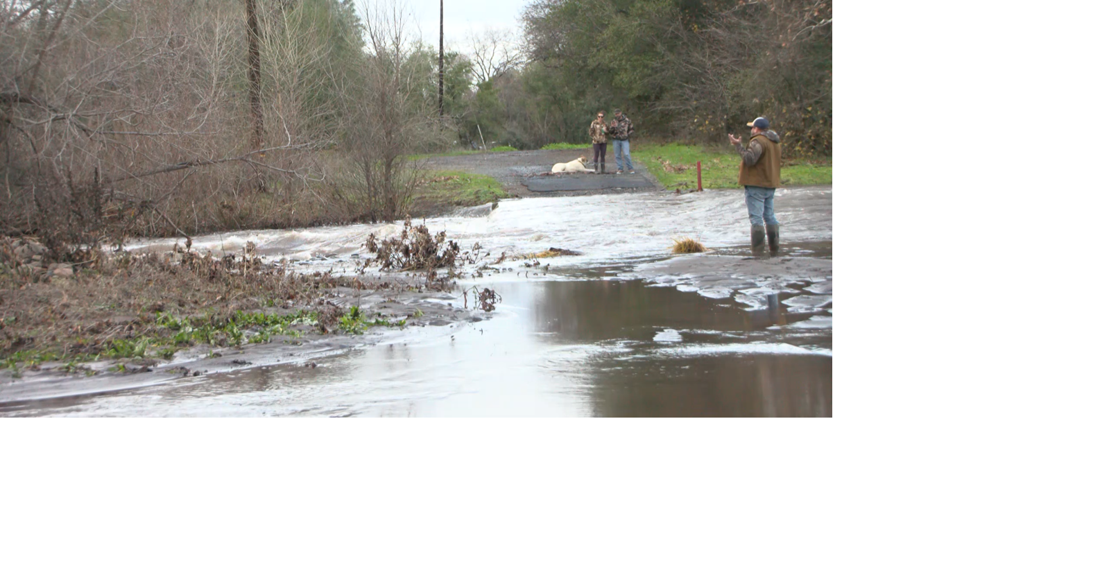 Flooding in Chico leaves animals stranded | News | actionnewsnow.com