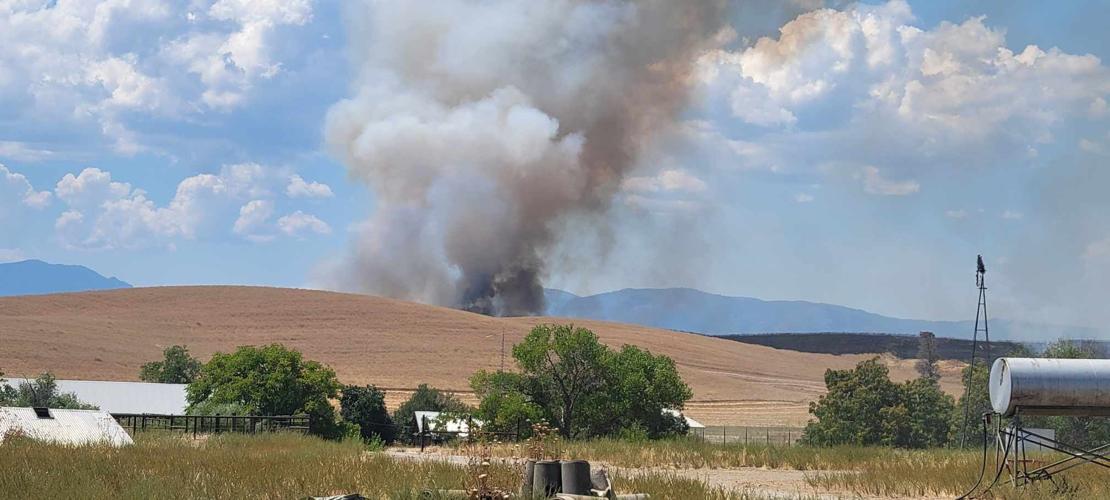 CAL FIRE, Willows Fire Department contain Thirty Five Fire | News ...