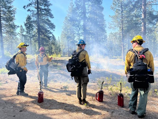 Shasta-Trinity National Forest conducting prescribed burn operations ...