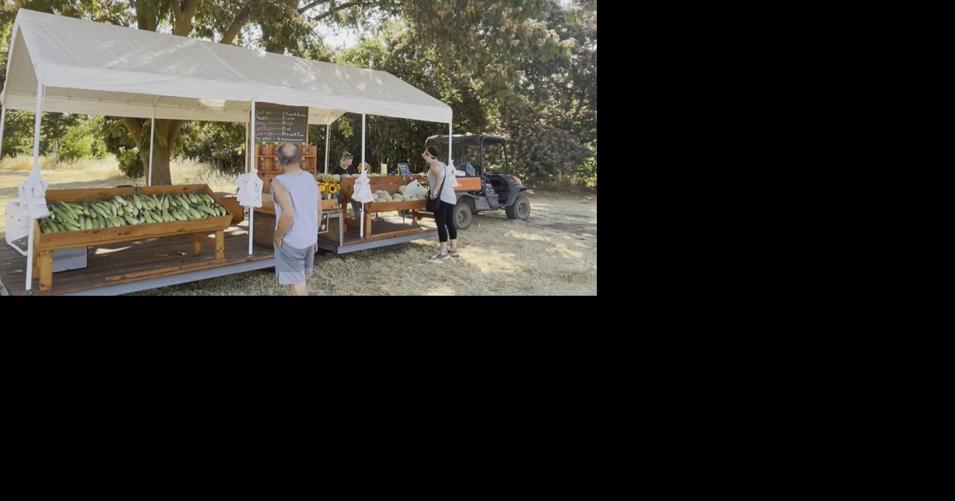Fresh Picks and Floral Bouquets: New Farm Stand Blooms at Chico State ...