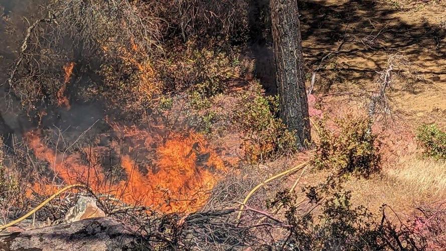 Turkey Fire at 65 acres, 90% containment | Fire Watch | actionnewsnow.com