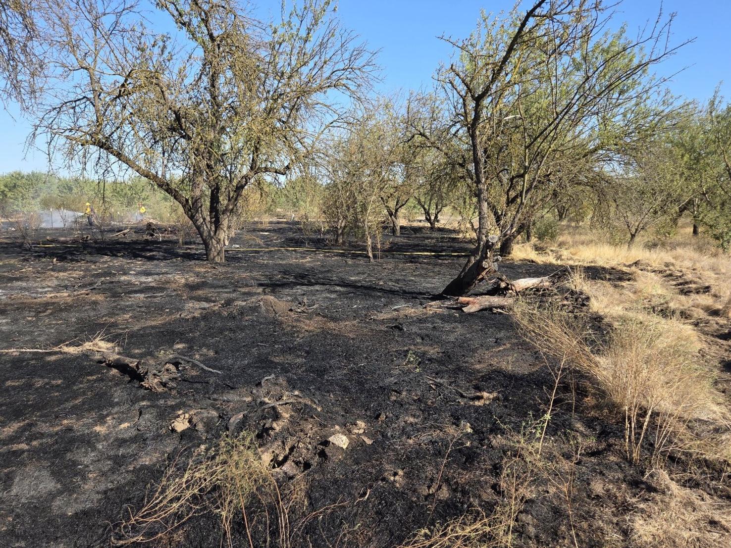 CAL FIRE crews contain vegetation fire burning in almond orchard on ...