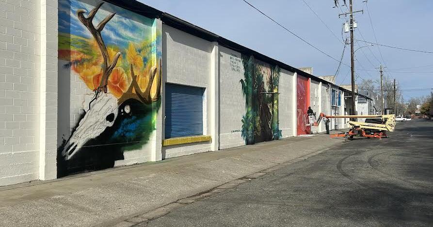 Chico Street Fair to Feature Mural Competition, Live Entertainment ...
