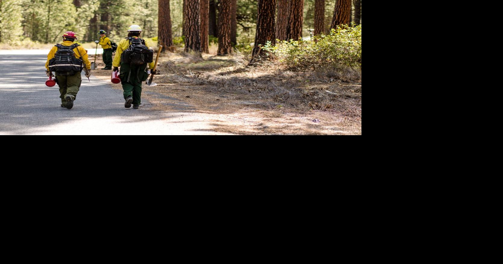 Prescribed burns in Shasta-Trinity Forest to reduce fire risk | News ...