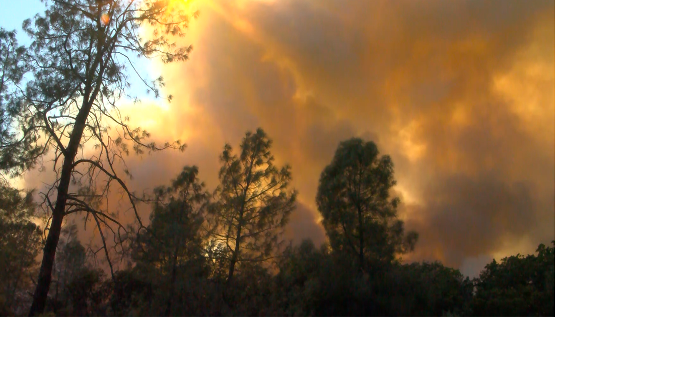 A breakdown of how many homes were damaged & burned in the Park Fire ...