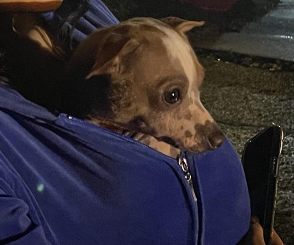 Firefighters extinguish house fire in Kelly Ridge | News ...