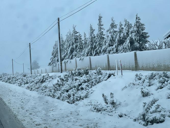 Paradise gets snow, recycling event postponed | Local | actionnewsnow.com