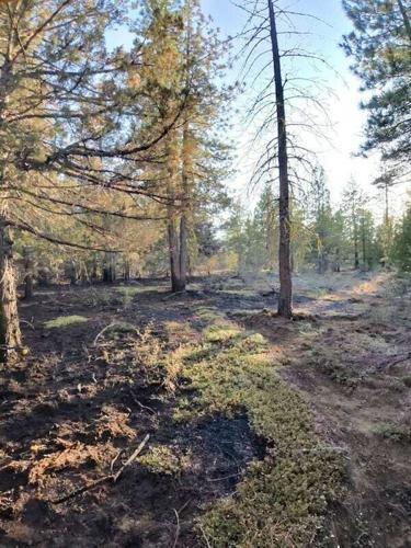 United States Forest Service provides updates on multiple lightning ...