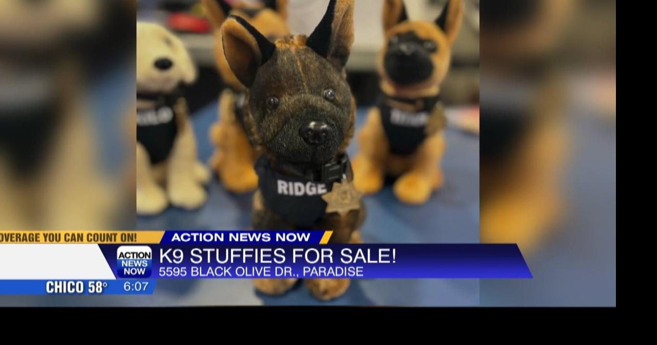 Support Paradise Police Department K9's by buying a "stuffie" | News ...