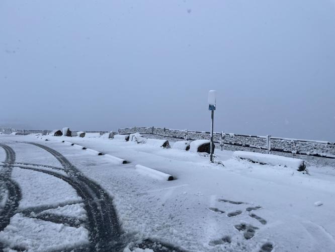Snow in Paradise | | actionnewsnow.com