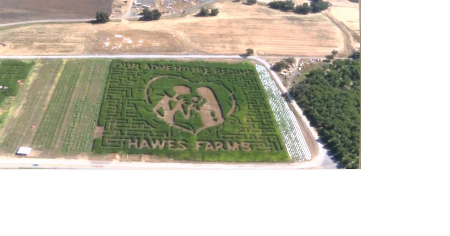 Historic Hawes Farms gearing up for Halloween events next week | News ...