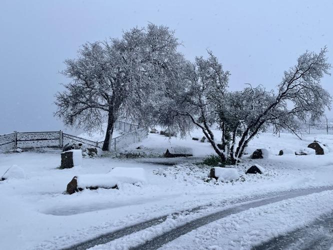 Paradise gets snow, recycling event postponed | Local | actionnewsnow.com