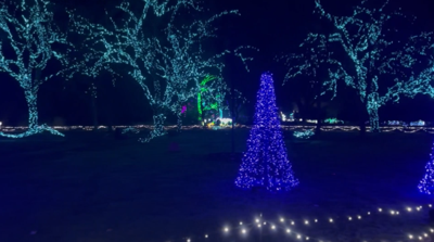 turtle bay redding lights