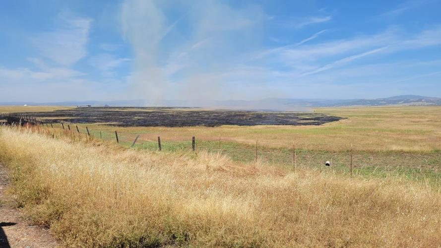 CAL FIRE stops spread of vegetation fire along Highway 99, crews ...