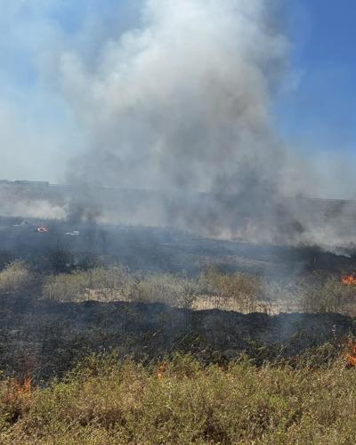 Mower fire | | actionnewsnow.com