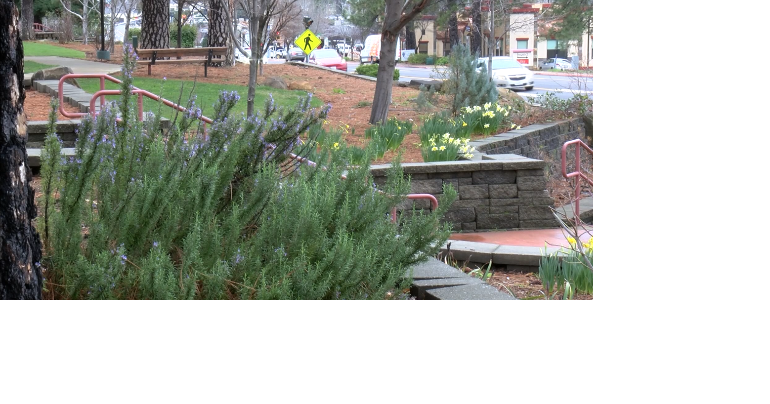 Paradise fire buffer project | News | actionnewsnow.com