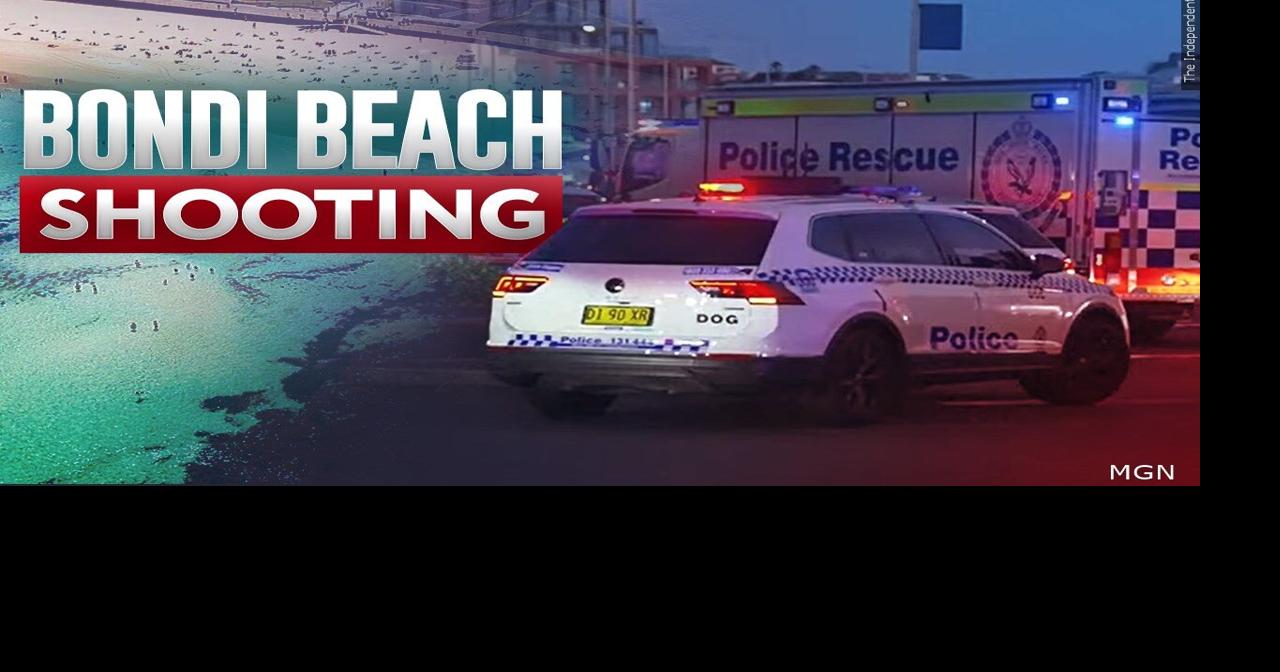 Bondi Beach shooting suspect conducted firearms training with his ...
