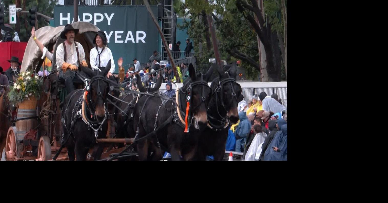 Rose Parade features Butte County couple and their mule team | News ...