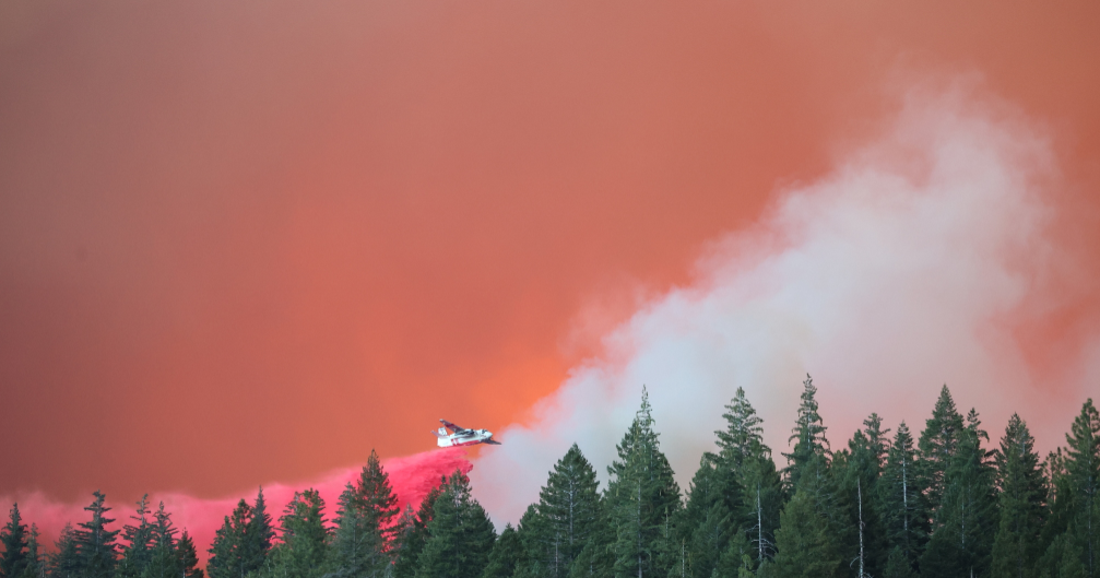 Park Fire: 429,603 acres, 100% contained | News | actionnewsnow.com