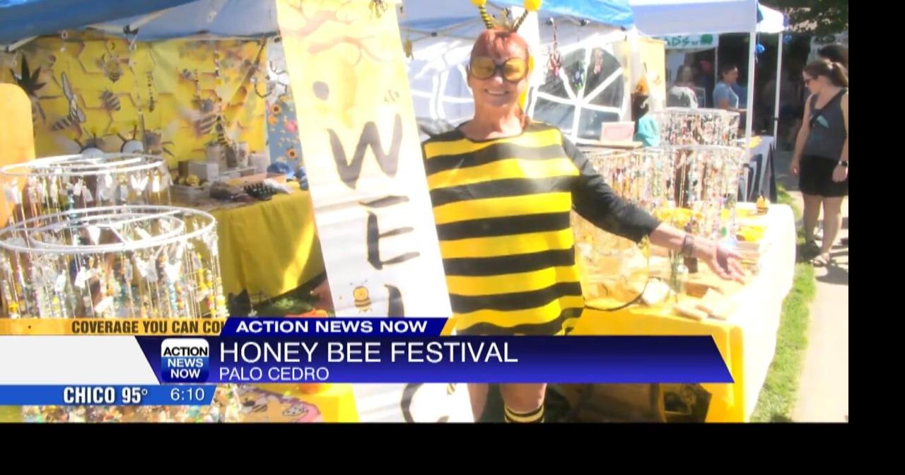 43rd annual Honey Bee Festival takes place in Palo Cedro | News ...