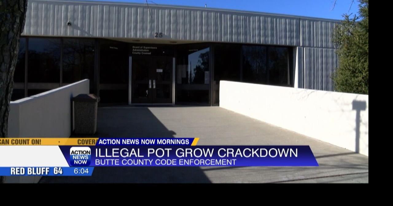 Butte County Code Enforcement shares details about illegal growing in ...