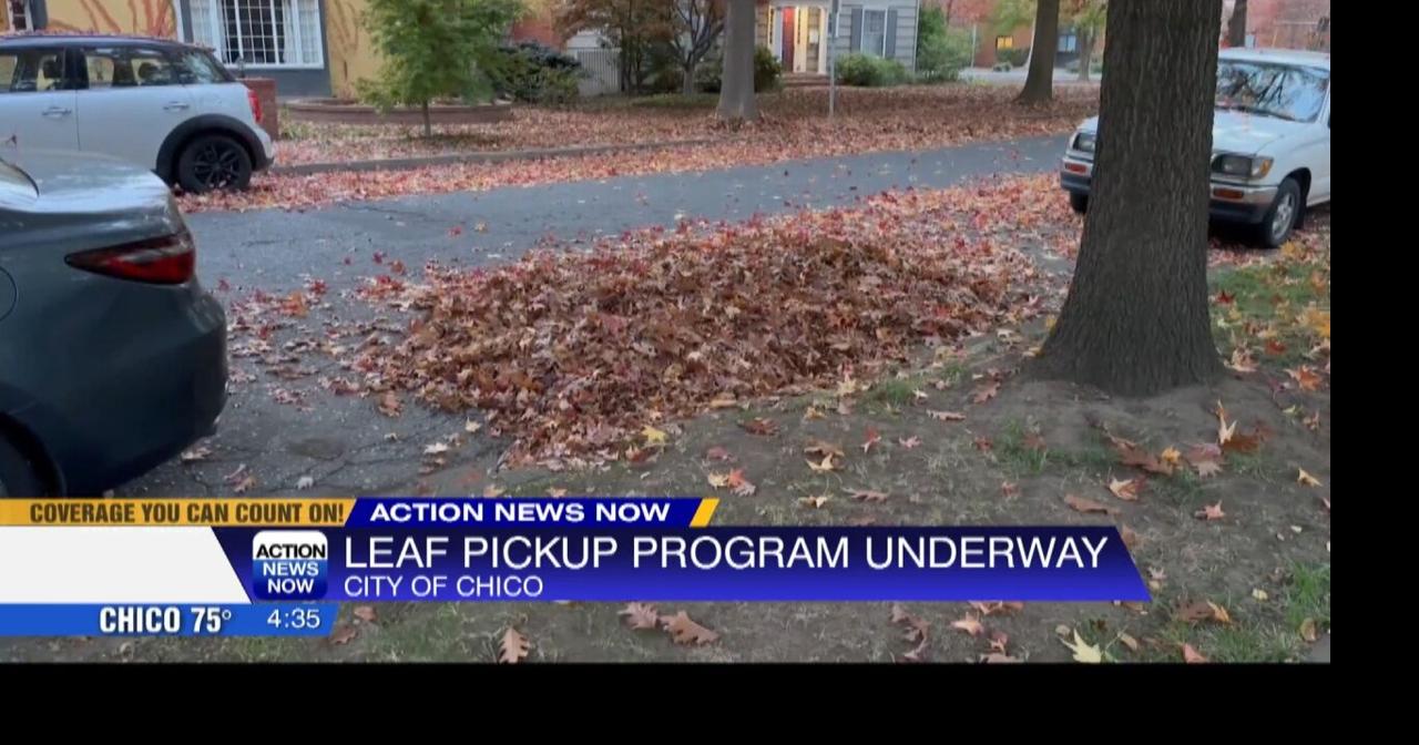 City of Chico's annual leaf collection program underway | Video ...