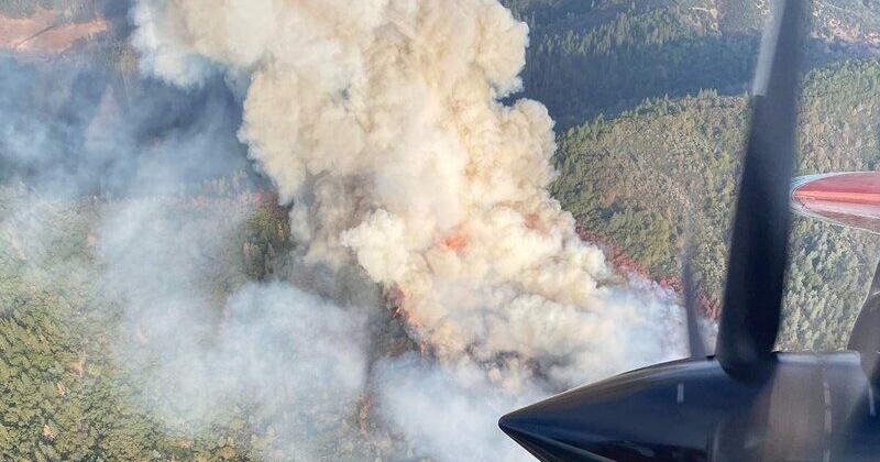 Woman arrested in connection with Fawn Fire | Local | actionnewsnow.com