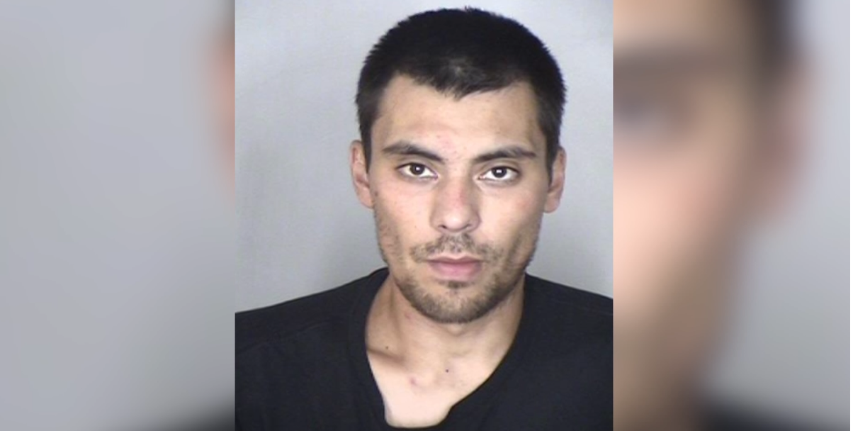 Chico man sentenced to 10 years in state prison for setting two pallet ...