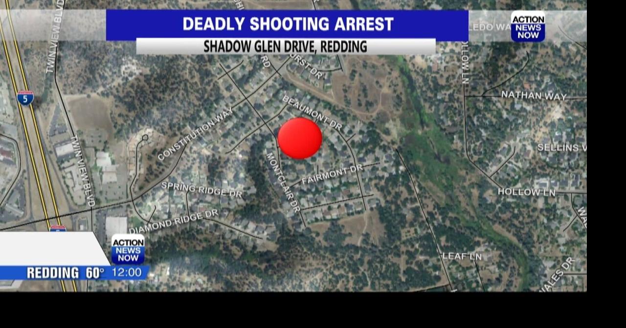 Redding alleged murder: son arrested in mother's deadly shooting ...