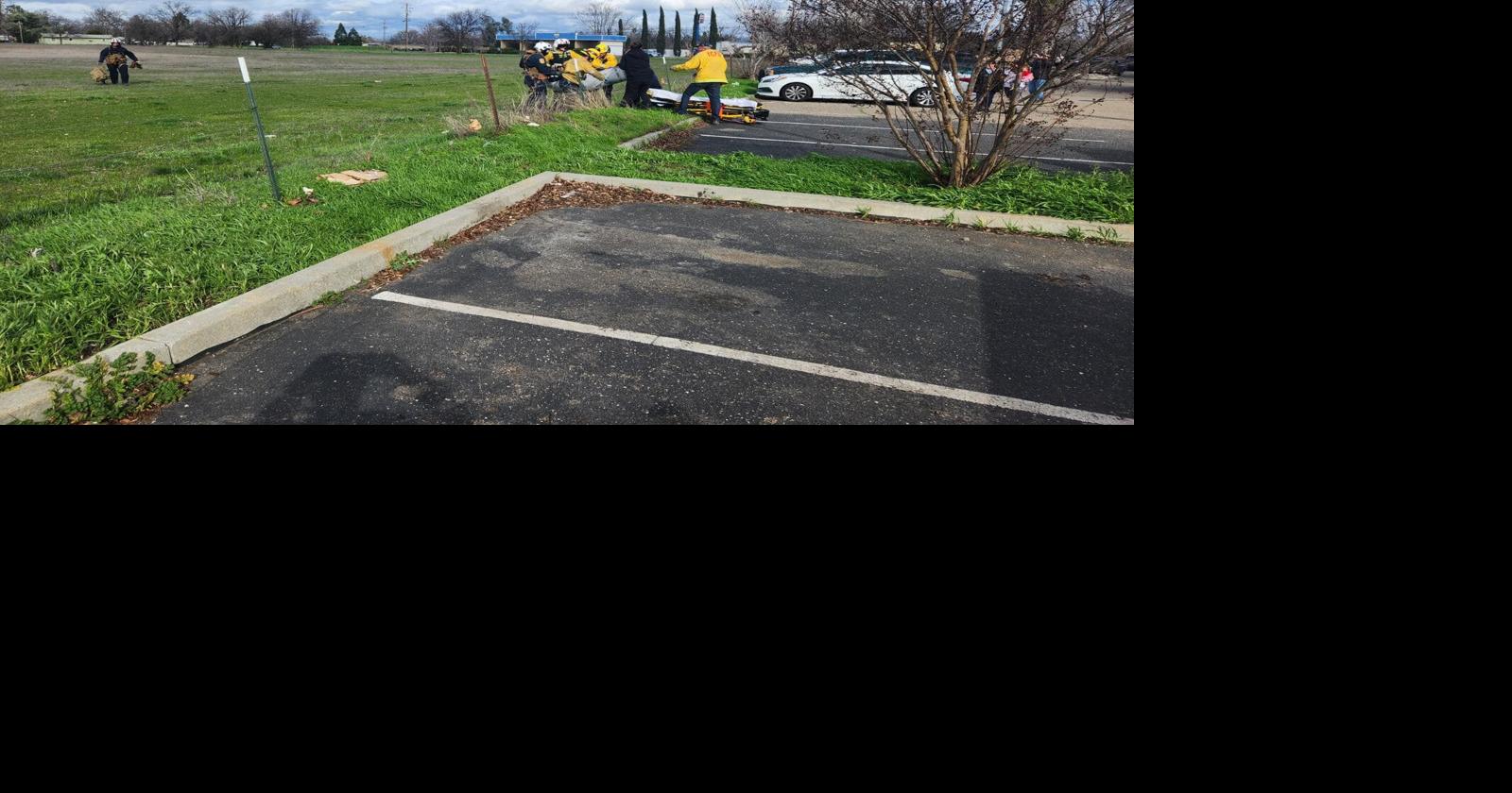 2 people, several animals rescued from Spider Island in Red Bluff ...