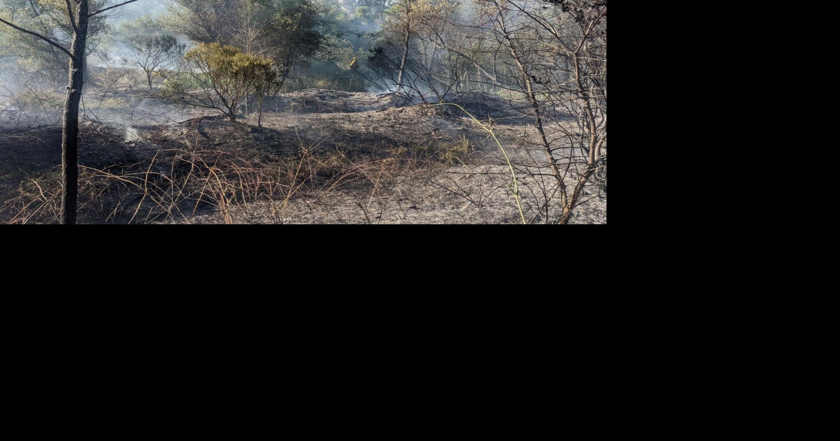 Pinecrest Fire holding at 10 acres, evacuations lifted | Fire Watch ...