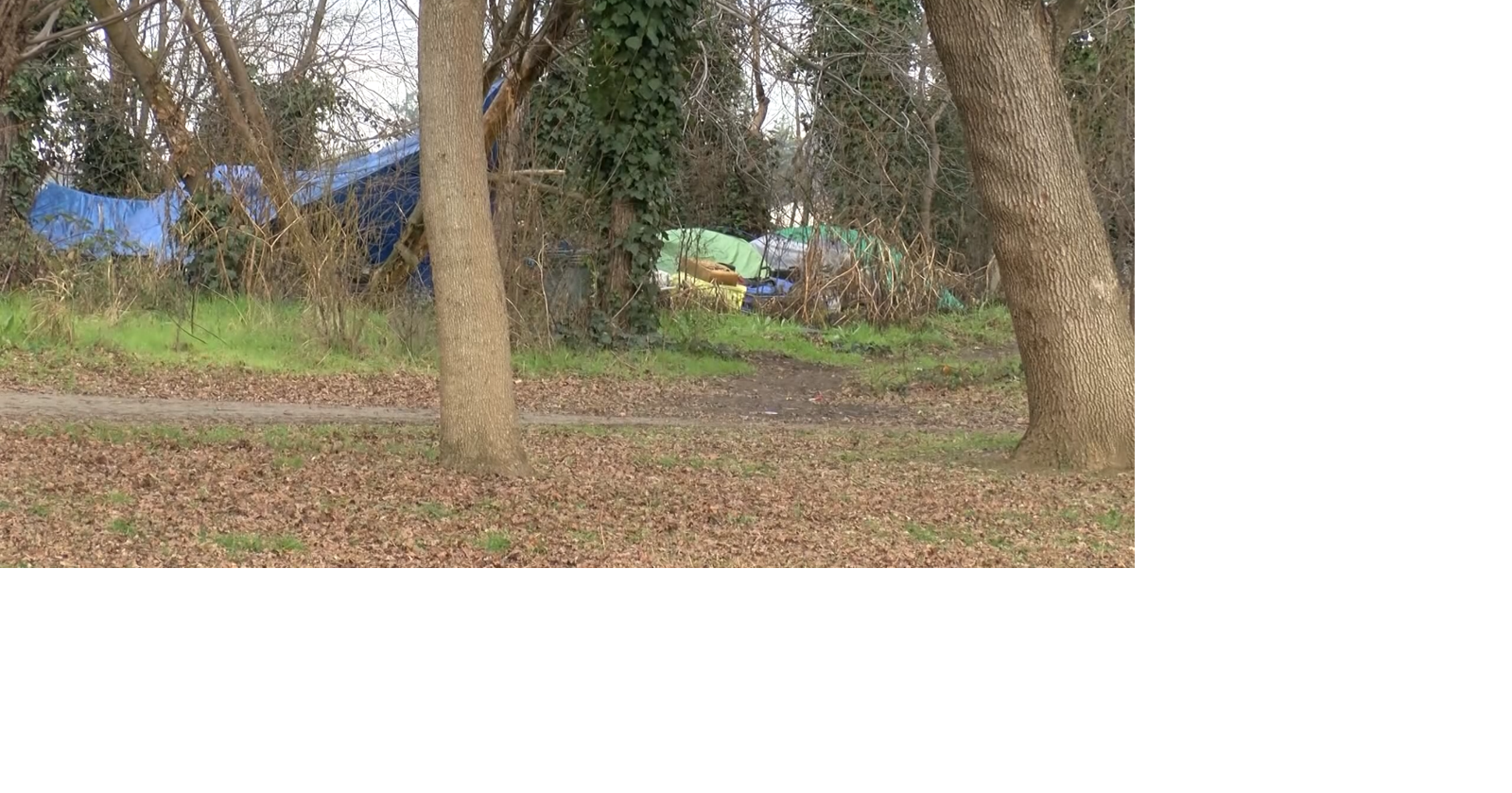 Red Bluff City Council votes to close approved homeless camp at Dog ...