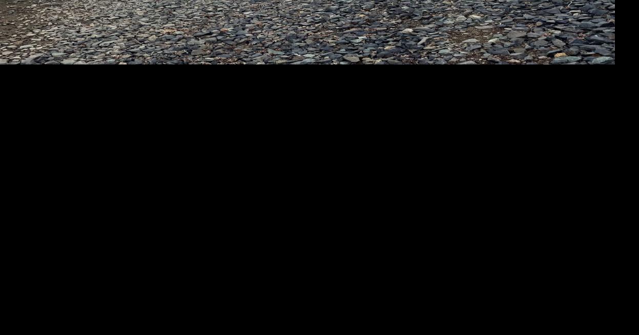 Police identify man hit, killed by train in Gridley | Local ...