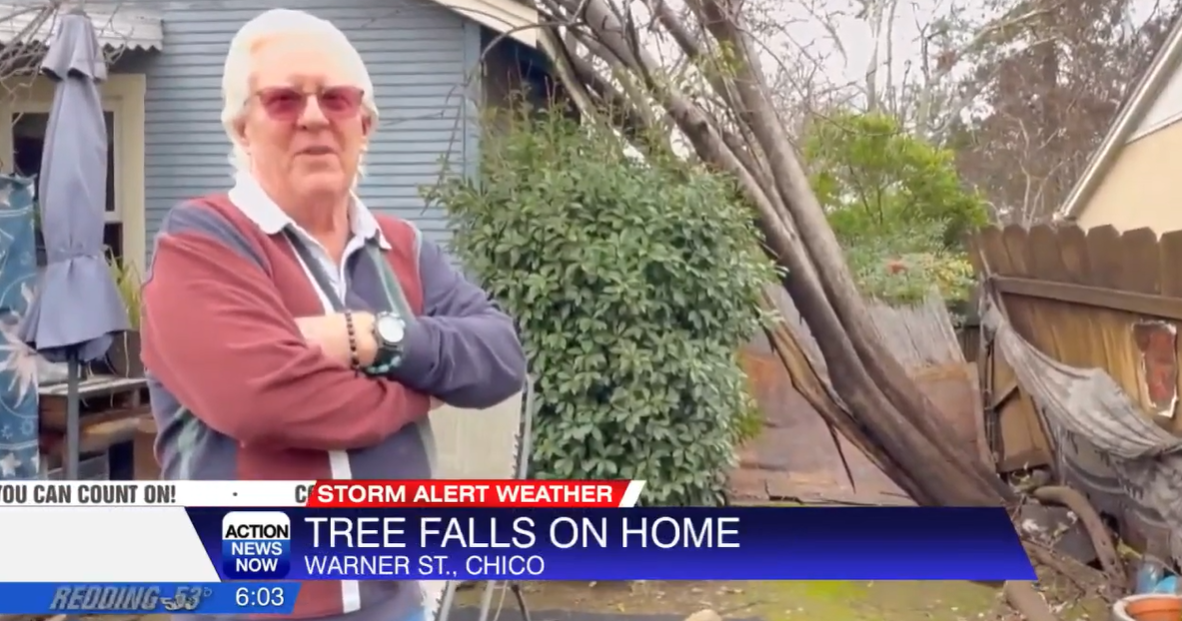 Fallen tree damages Chico home; resident takes it in stride | News ...