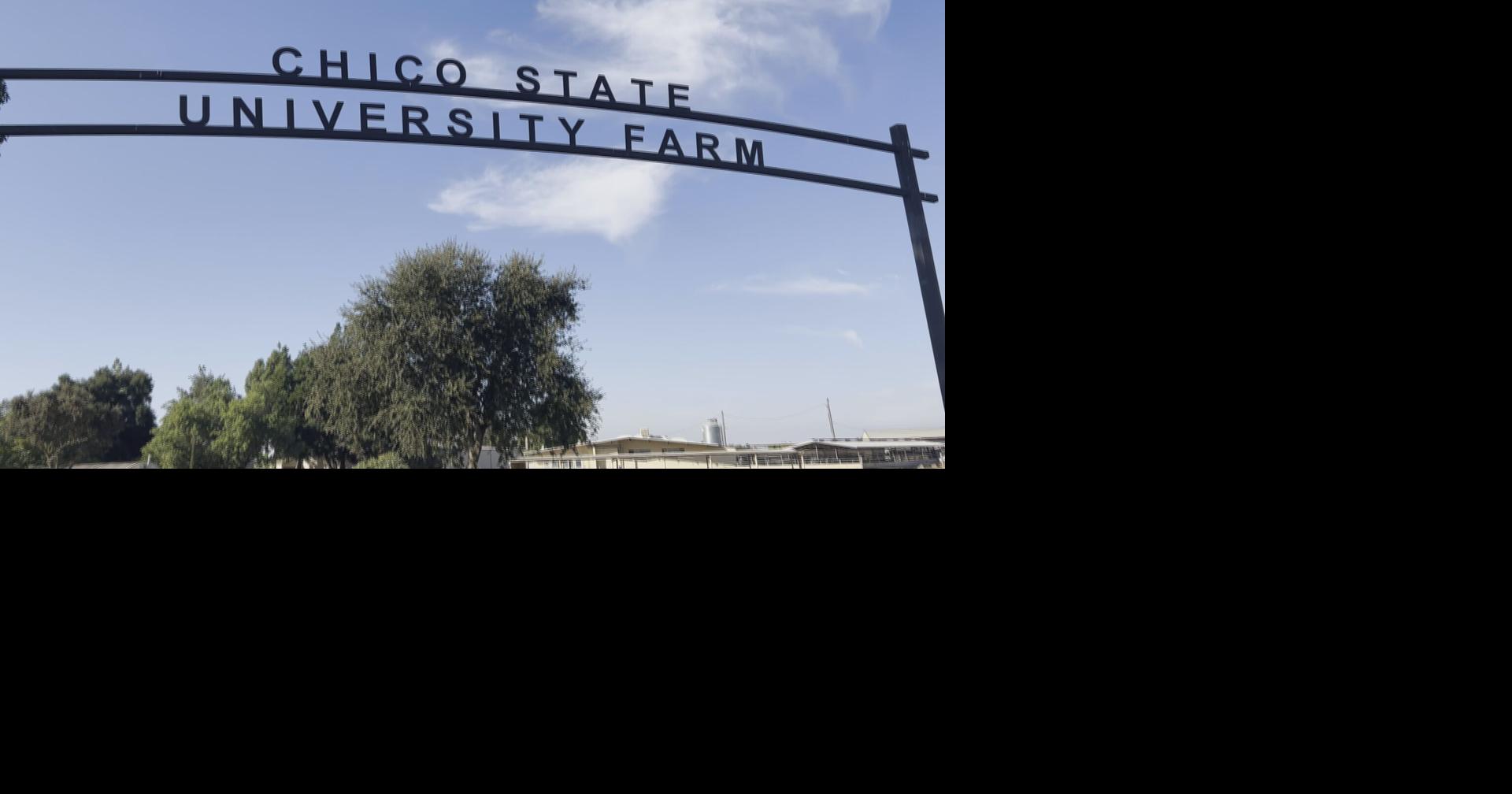 Celebrate local harvest at Chico's Sierra Oro farm event | News ...