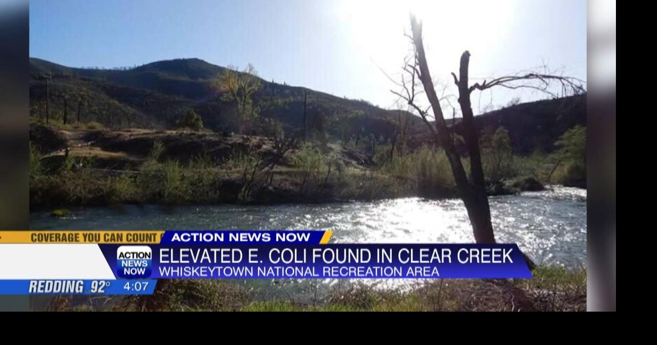 Public Health Advisory issued after elevated levels of E.coli detected ...