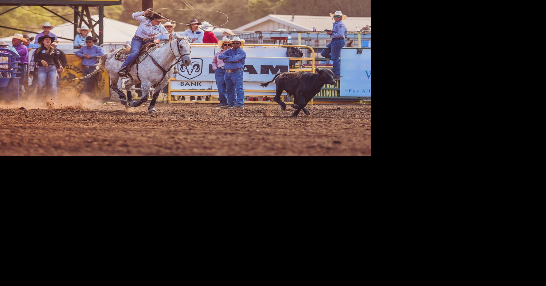 Women's Breakaway Roping returns to the 2024 Red Bluff Round-Up | News ...