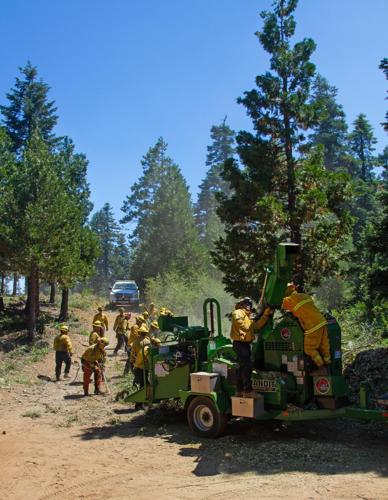 Six Rivers Lightning Complex containment increases to 23% | Fire Watch ...