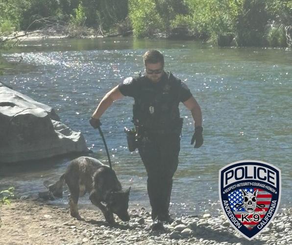 Wanted felon from Redding arrested after he led police on a chase in ...