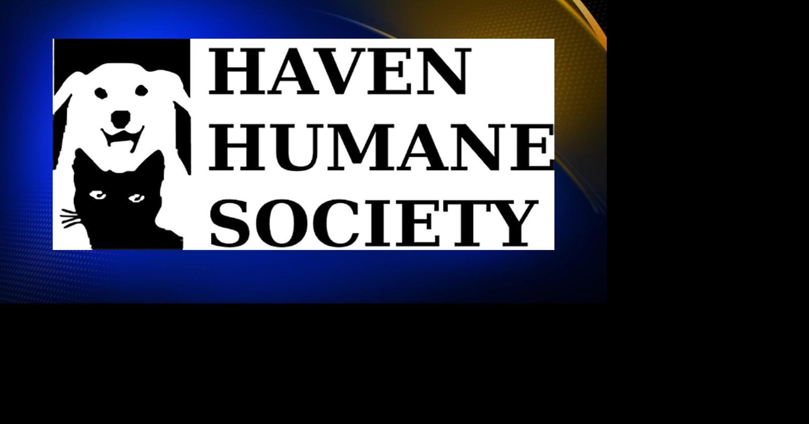 Haven Humane Society records 2,134 animal adoptions in 2025 | News ...