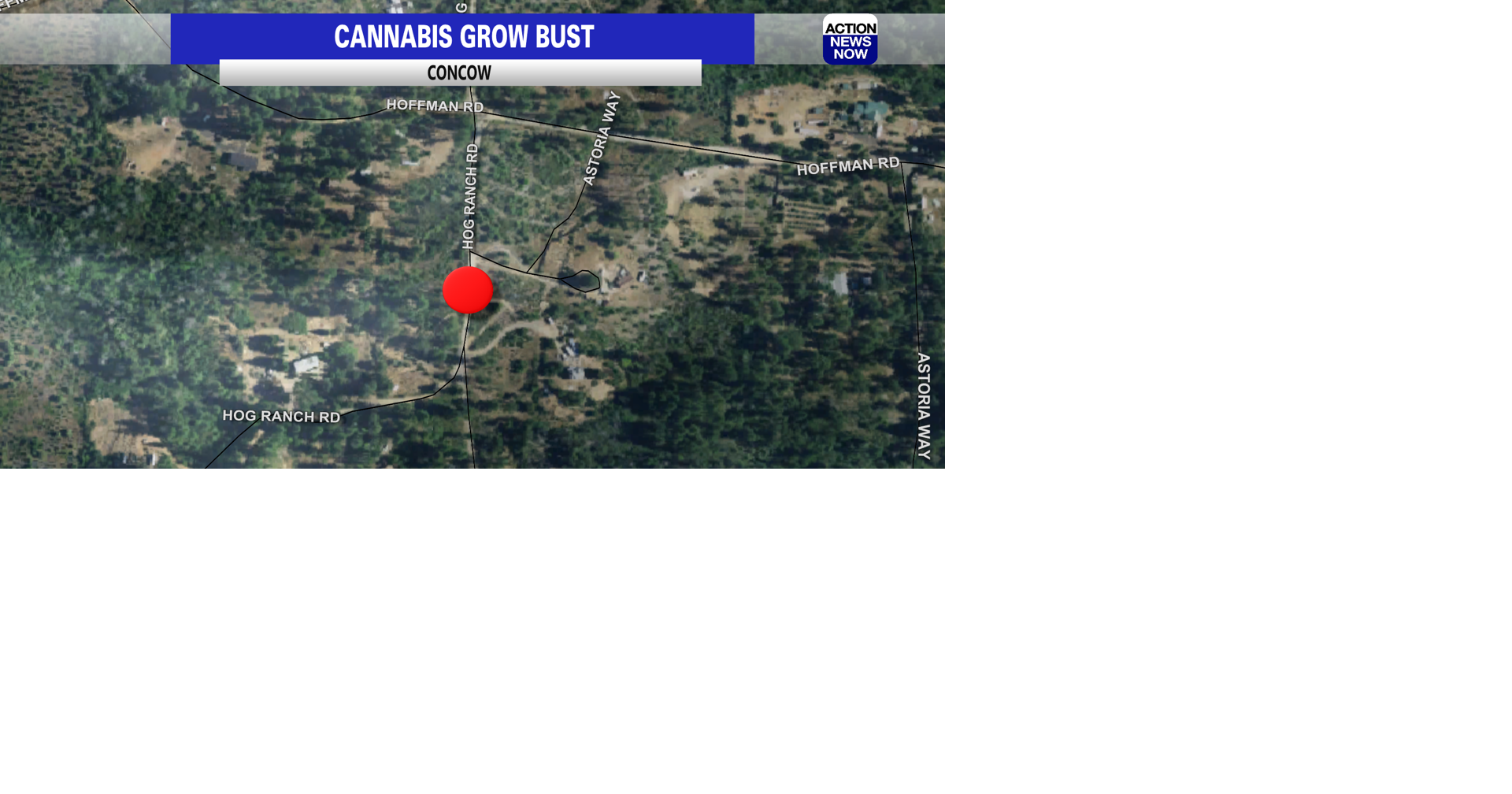 Concow cannabis crackdown: 10,153 plants eradicated by CDFW ...
