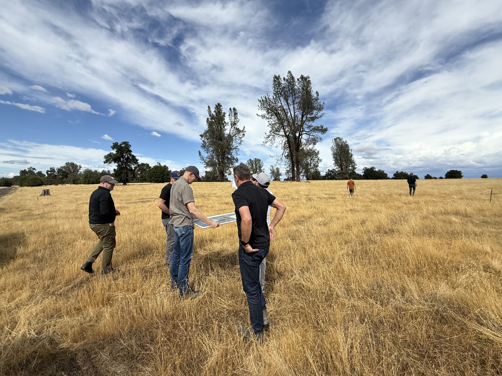 FABRIC Mass Timber planning California's first large-scale mass timber ...