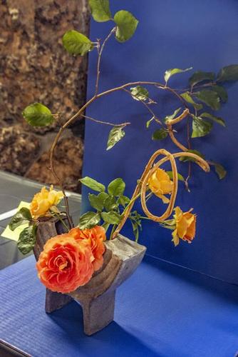 Butte Rose Show returns to Chico Saturday | News | actionnewsnow.com