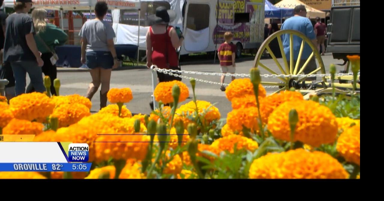 Extra day at Shasta Fair boosts local economy and fun | News ...